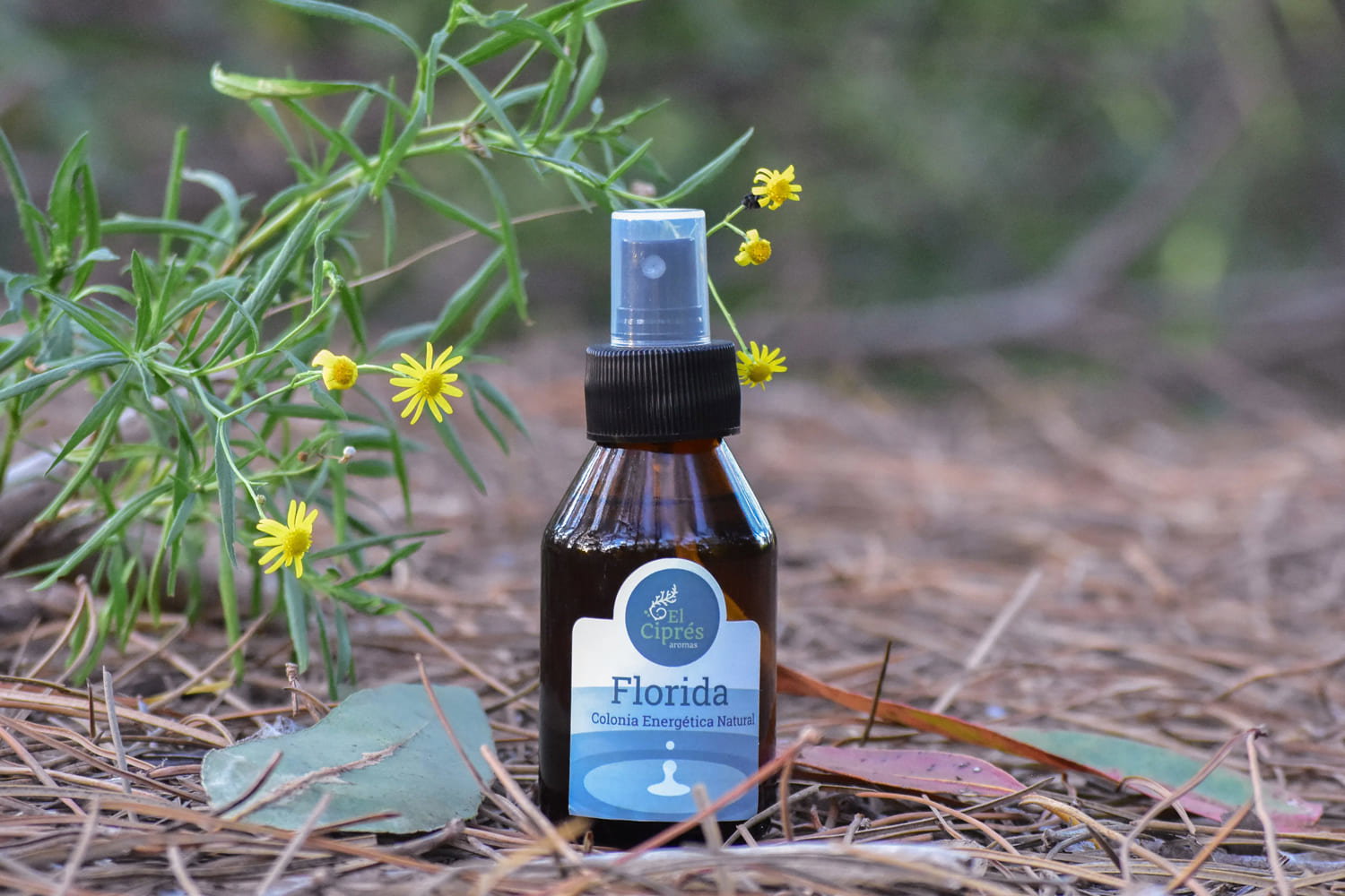 Florida Spray: Colonia Energética Natural | Aromas El Ciprés