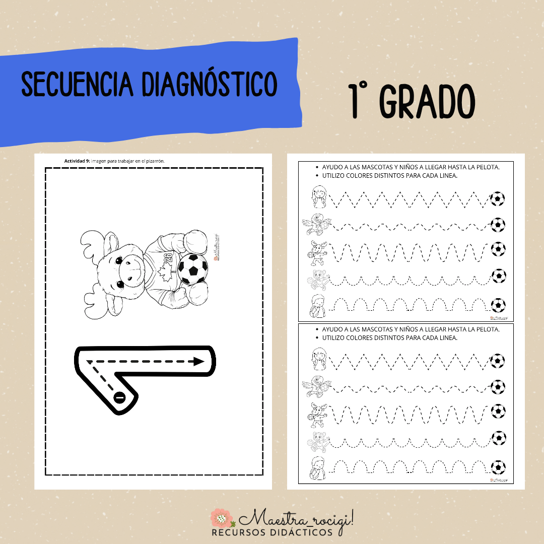 Diagnóstico 1° grado. Eje: mascotas mundial (pdf) | Maestra Rocigi