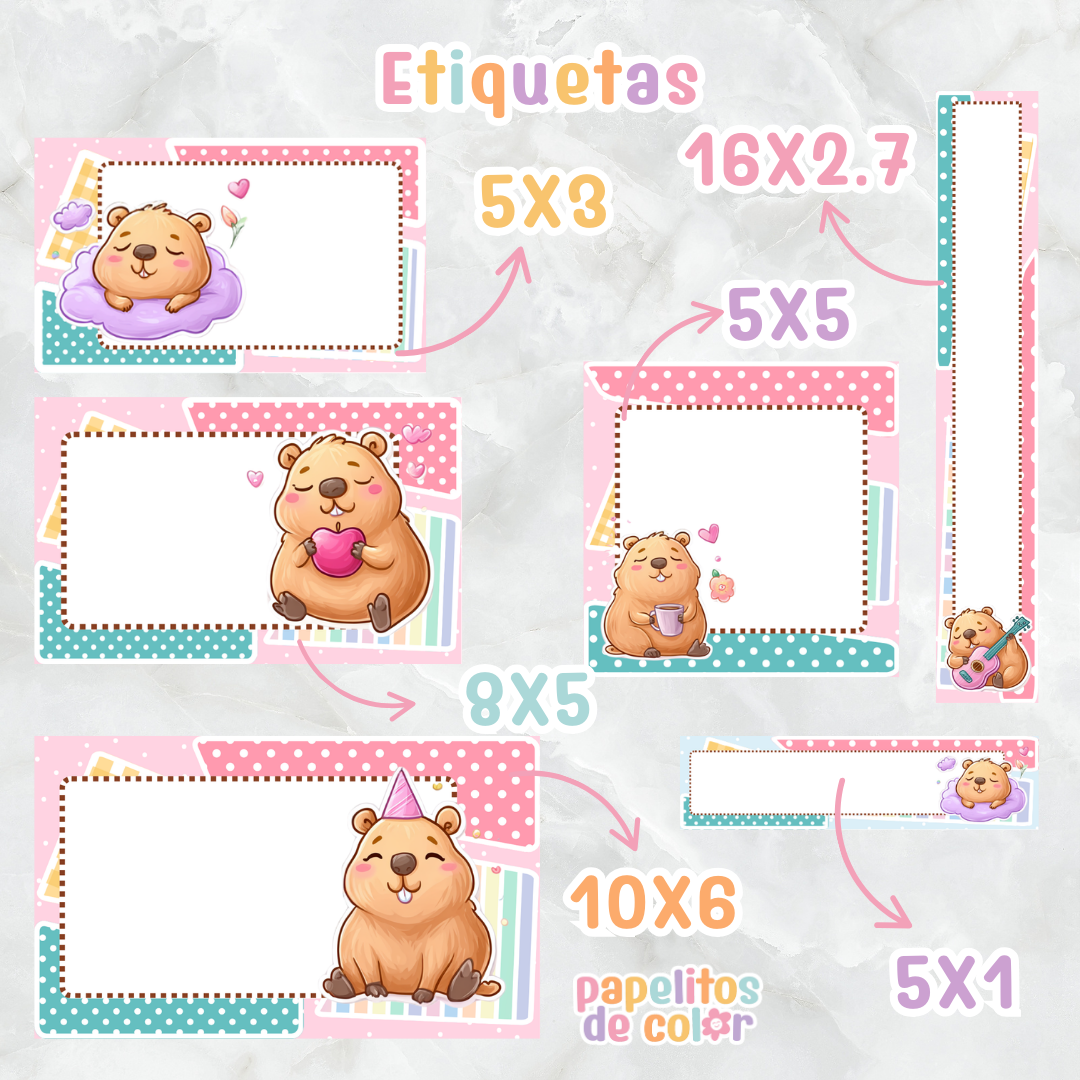🦫 Combo Capibara Escolar🎒 | Papelitos de color