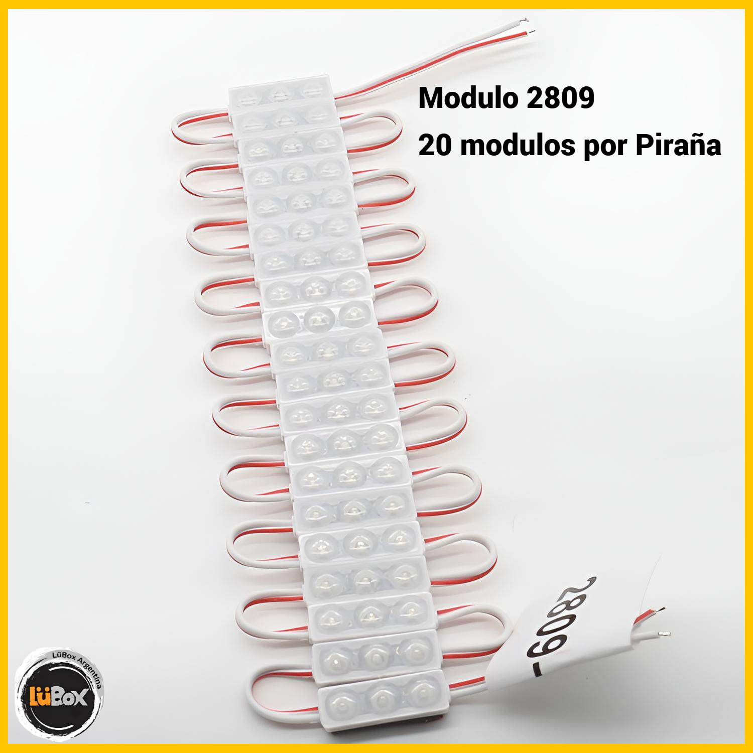Modulo Led SMD 2809 x 20 Unidades 12V - M-Led | Lubox Argentina