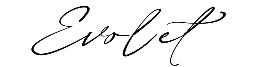 Evolet Corseteria Y Lenceria