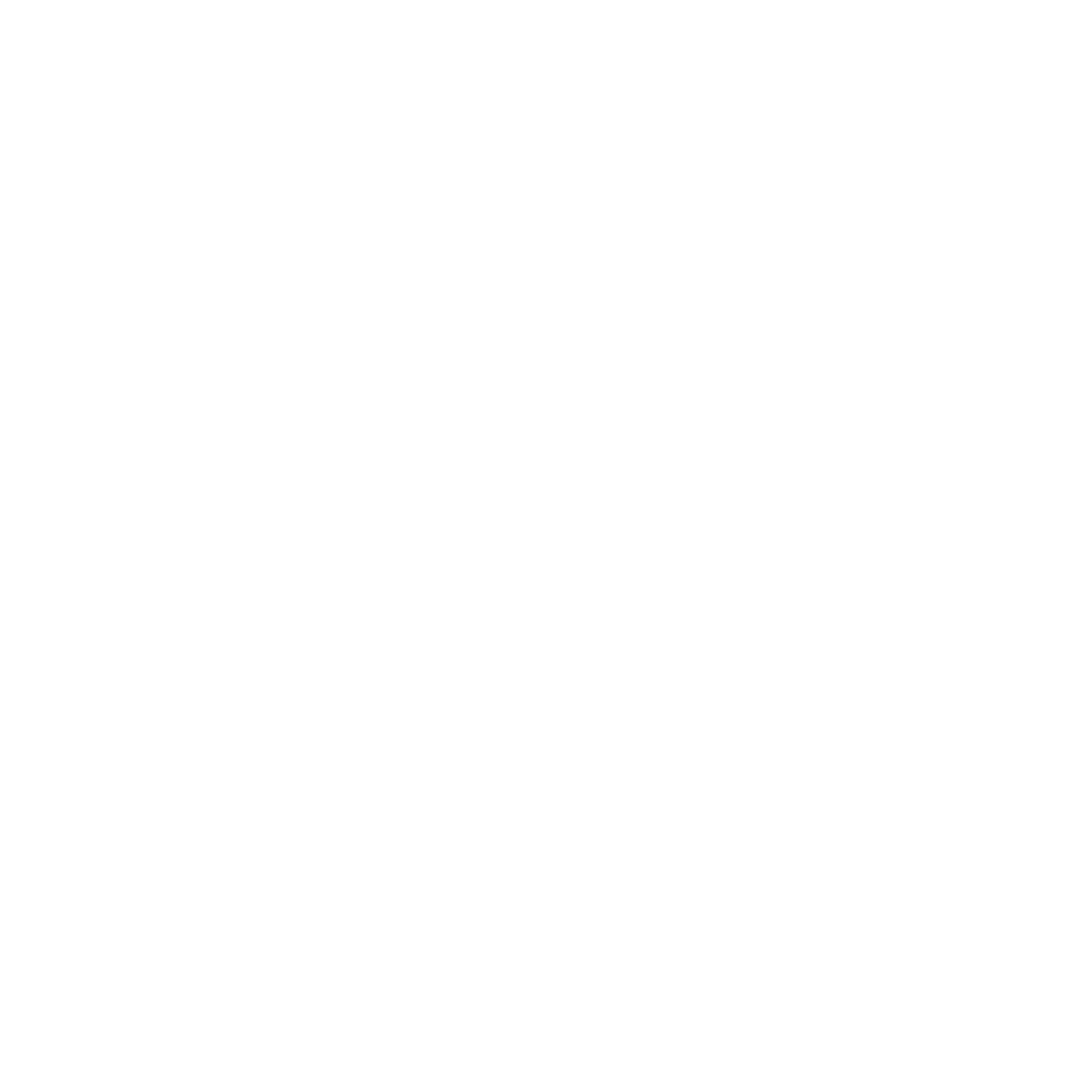 Amo Vivo Patino